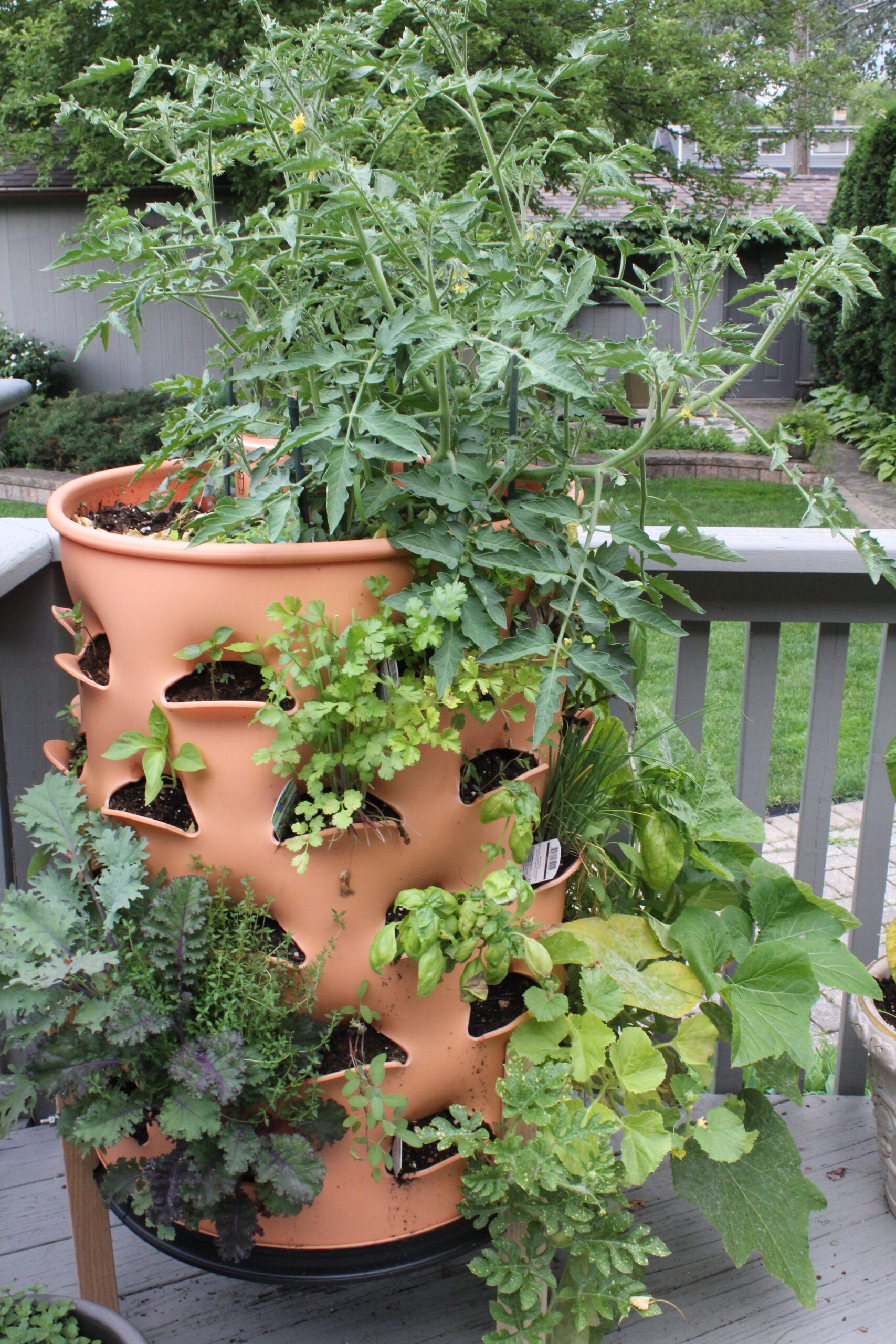 Organic Container Garden – liskabora